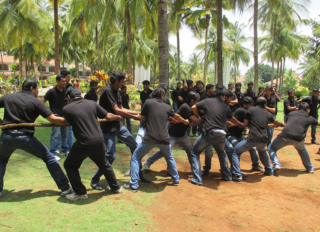 Career - Cito Infotech Pvt Ltd